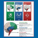 Conscious Discipline – YWCA Spokane